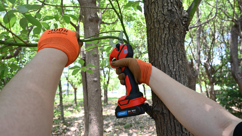 Electric Pruners for Flowers: 5 Golden Rules for Perfect Pruning ...